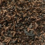 Dark Holler (2026-Edition) - The Country Squire Tobacconist